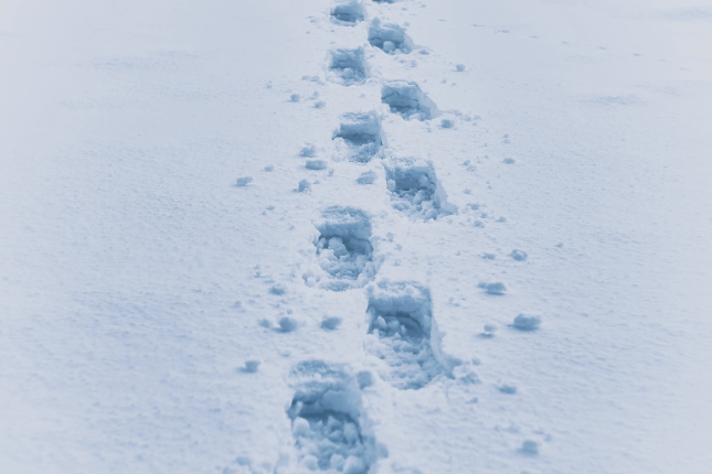 一文读懂EIP-7377：从EOA迁移到智能合约钱包的铺路者