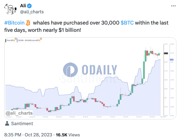 巨鲸在上周增持超3万枚BTC，约合10亿美元-web3资讯-ODAILY