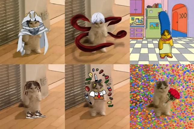 From IP disputes to resistance to VC, cat memes are playing out the ...